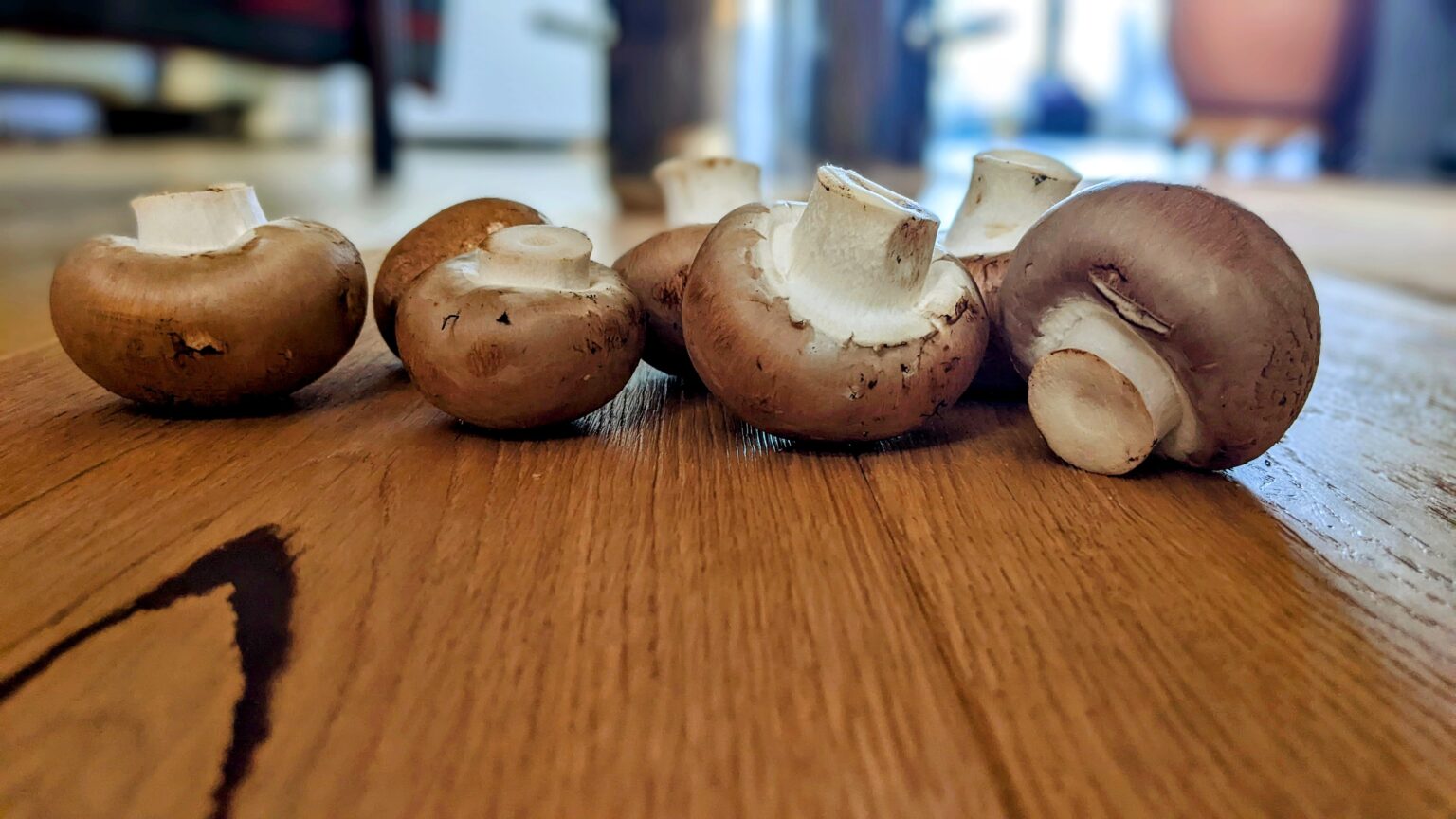Champignon